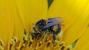 Ansprechpartner - Narimpex