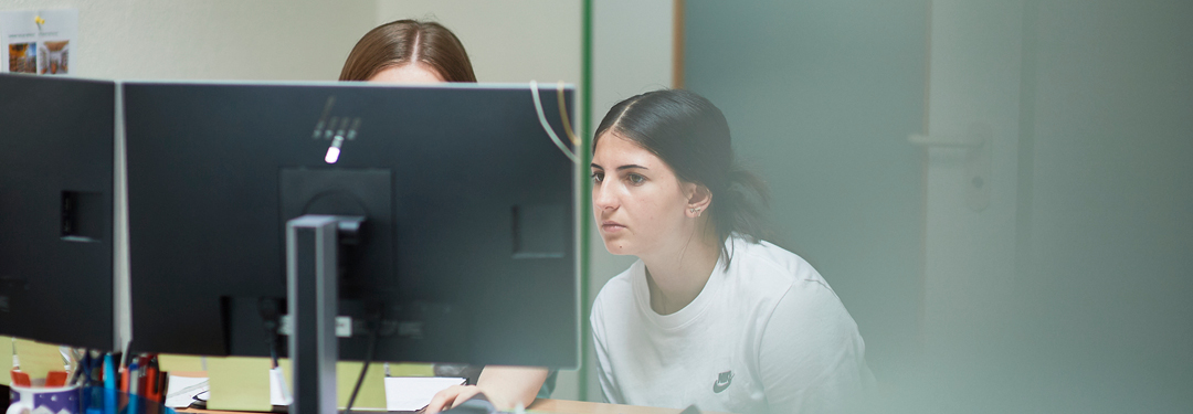 Ausbildung - Narimpex